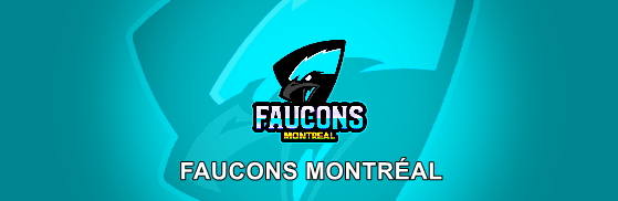 - CDST - Central Des Statistiques